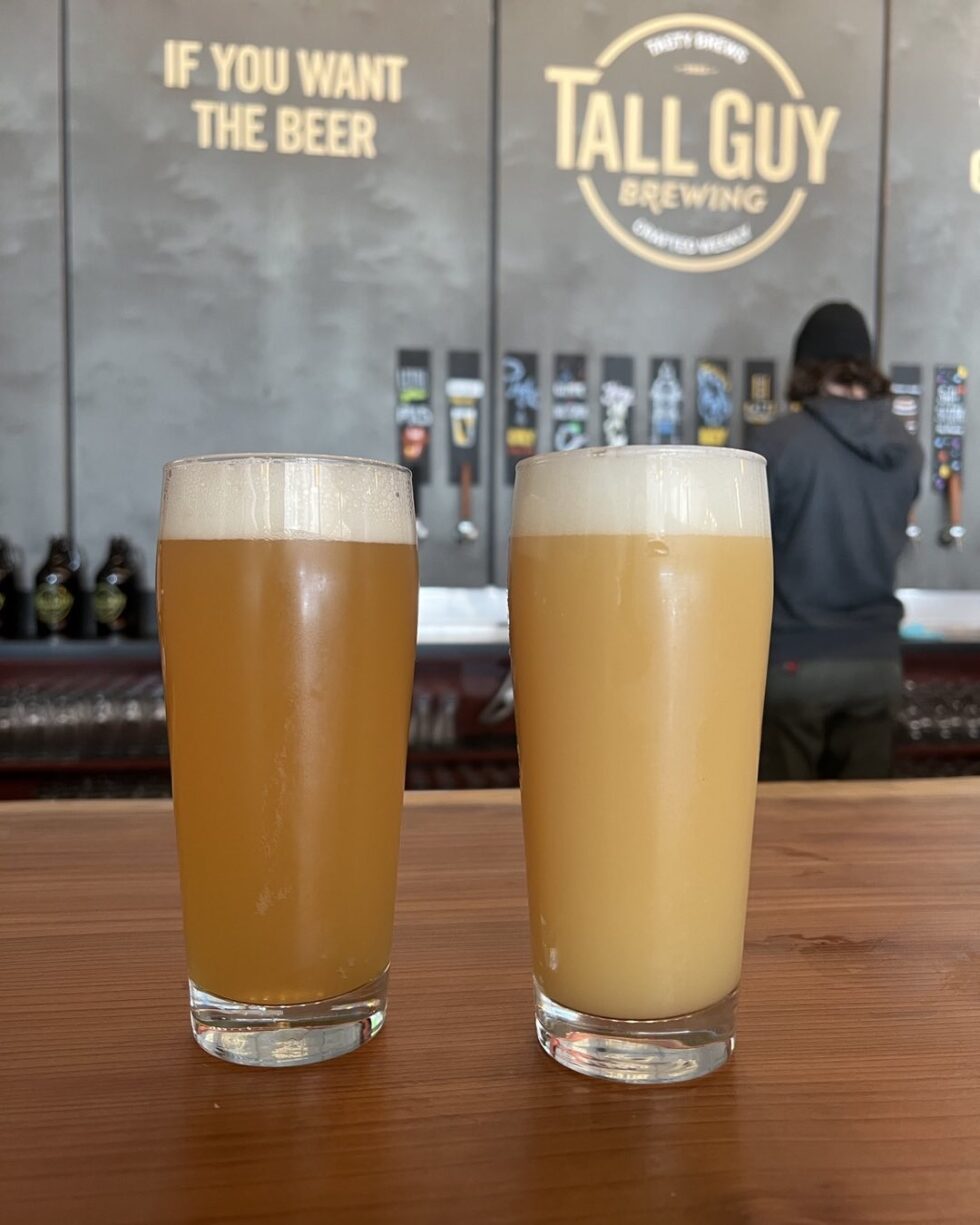 Tall Guy Brewing | If you want the beer, you gotta get it here.